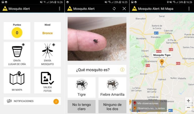 Aplicaciones para reconocer mosquitos y otros insectos peligrosos