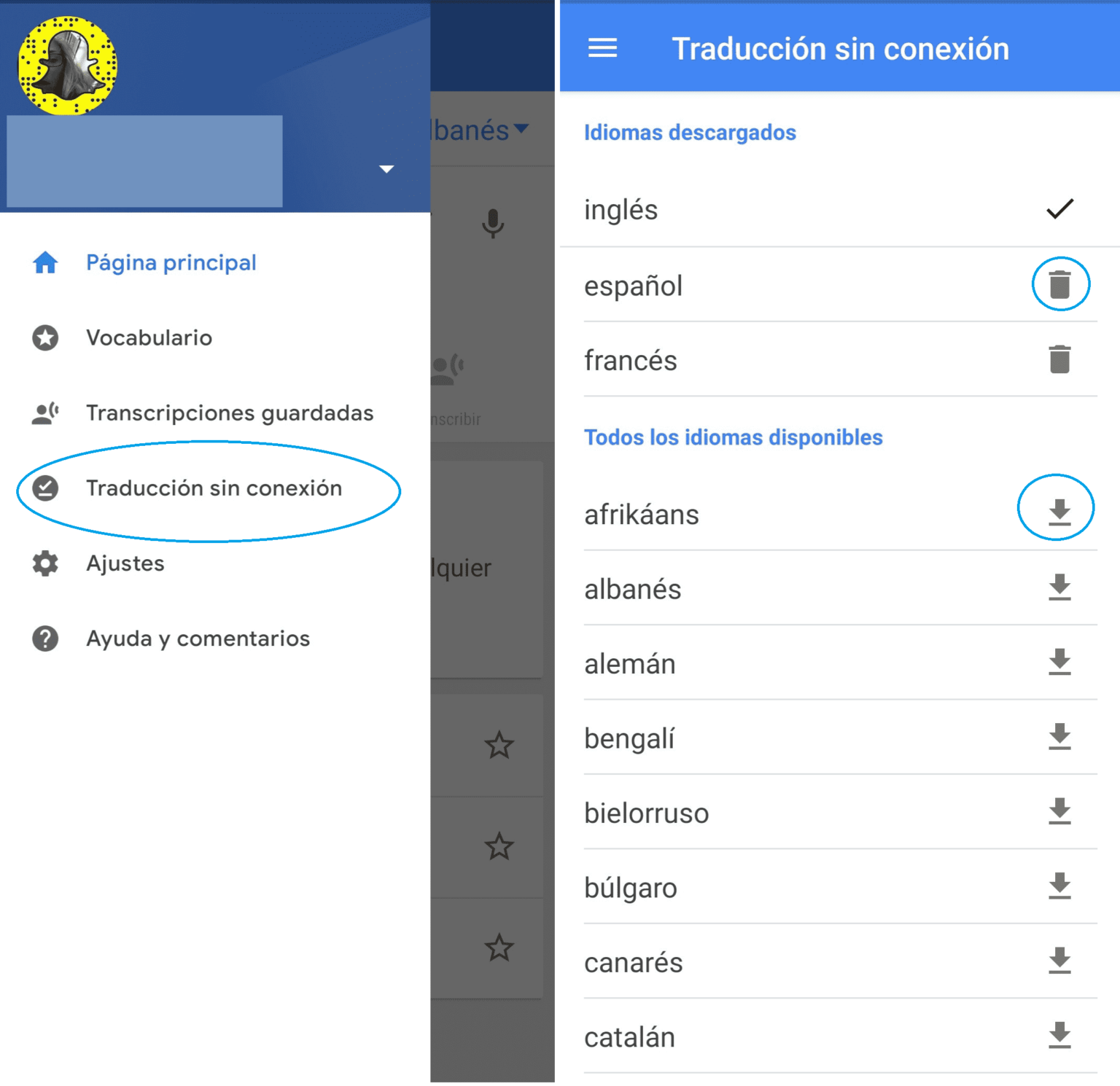 ️ Así es como el Traductor de Google funciona sin Internet