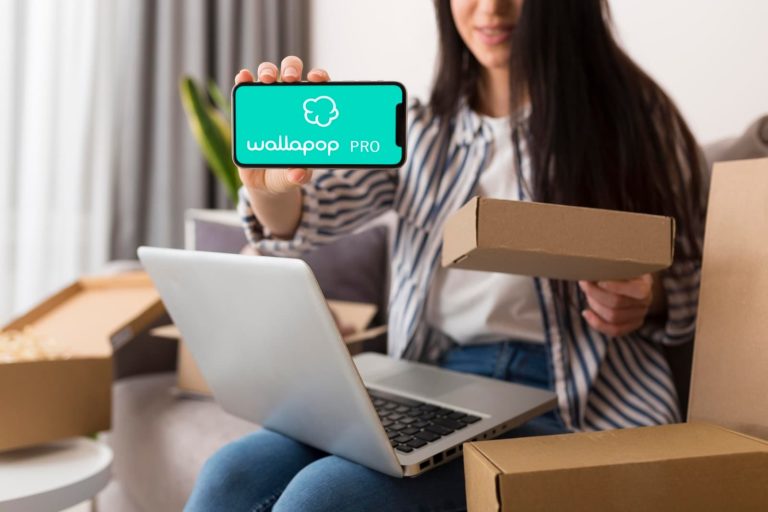 Cómo funciona Wallapop Pro para vender
