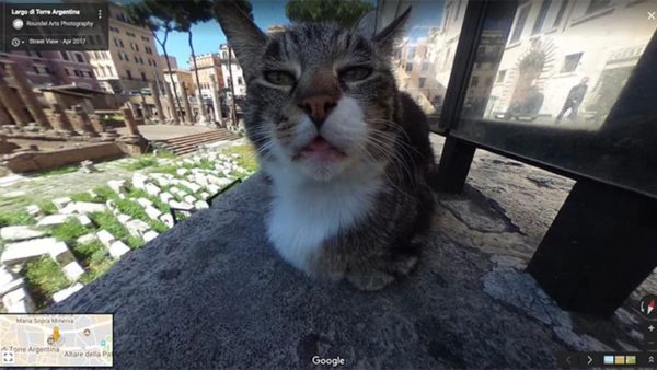 13 imágenes graciosas a pie de calle que puedes ver en Google Maps