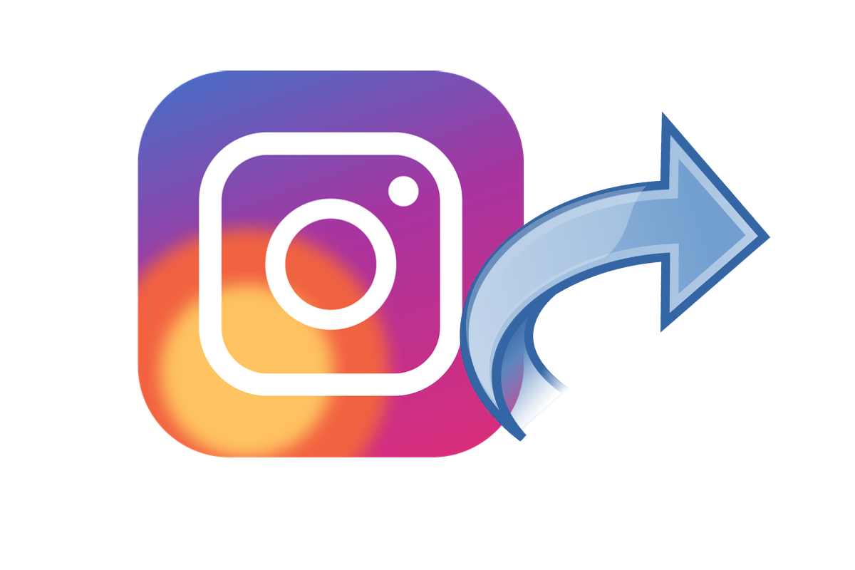 Por qué no me aparece la opción de copiar enlace o compartir una ...