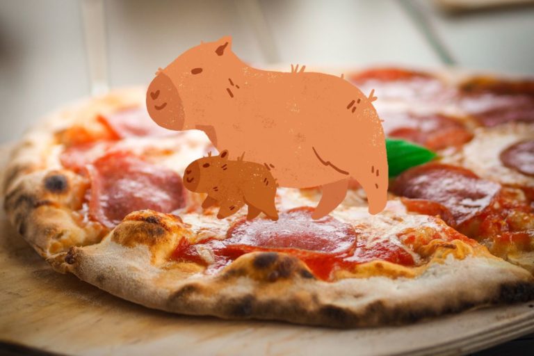 ️ Cómo hacer la pizza para la familia de capibaras en Buena Pizza Gran ...